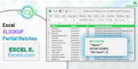 Mastering Excel Formula for Partial Matches Using VLOOKUP, XLOOKUP, IF ...